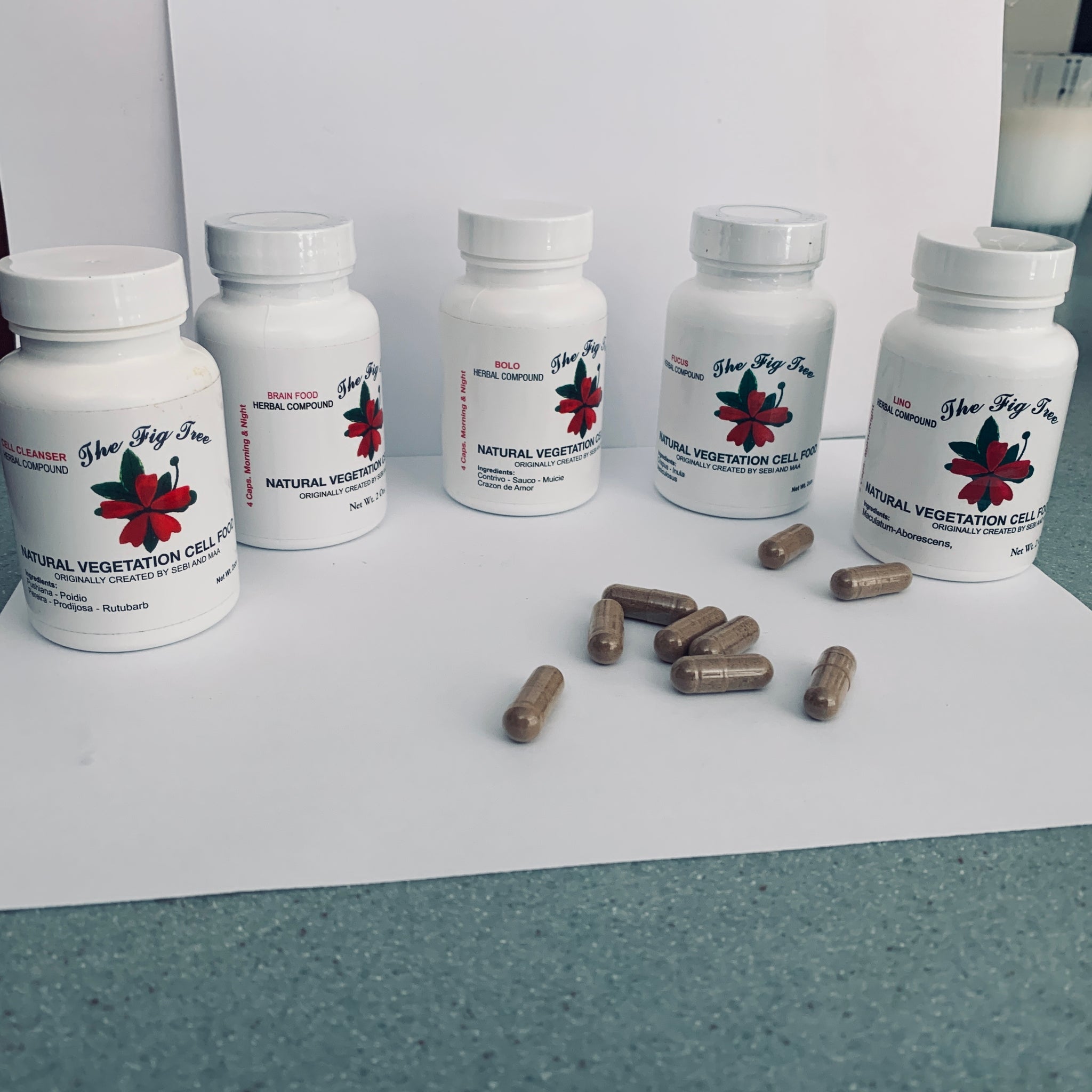 Intra-Celluar Bio-Electric Program Nutritional Package – Fig Tree Bio ...